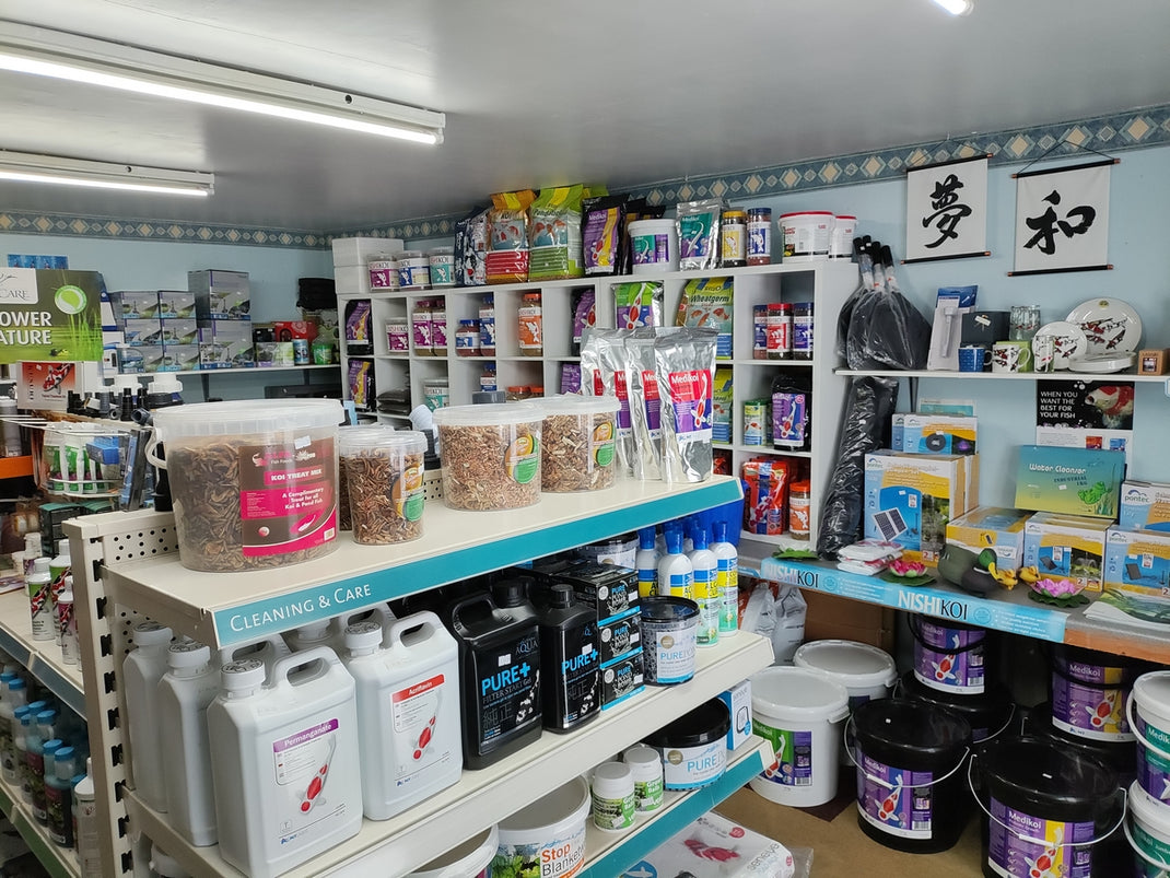 Welcome to Causeway Koi - selling quality Japanese koi and pond produc